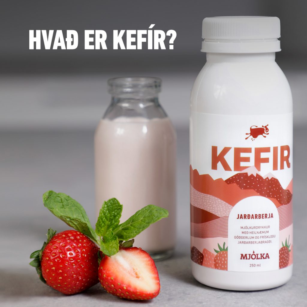 Kefír er ættaður úr Kákasusfjöllunum – Lifðu núna